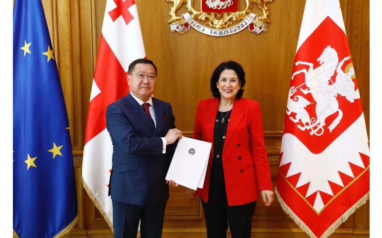 Embassy of Mongolia, Permanent Mission of Mongolia in Geneva